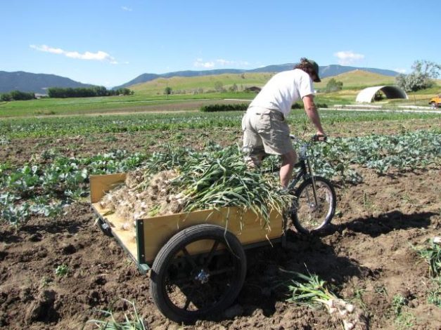 Farm Trike | Main Street PedalTrucks™